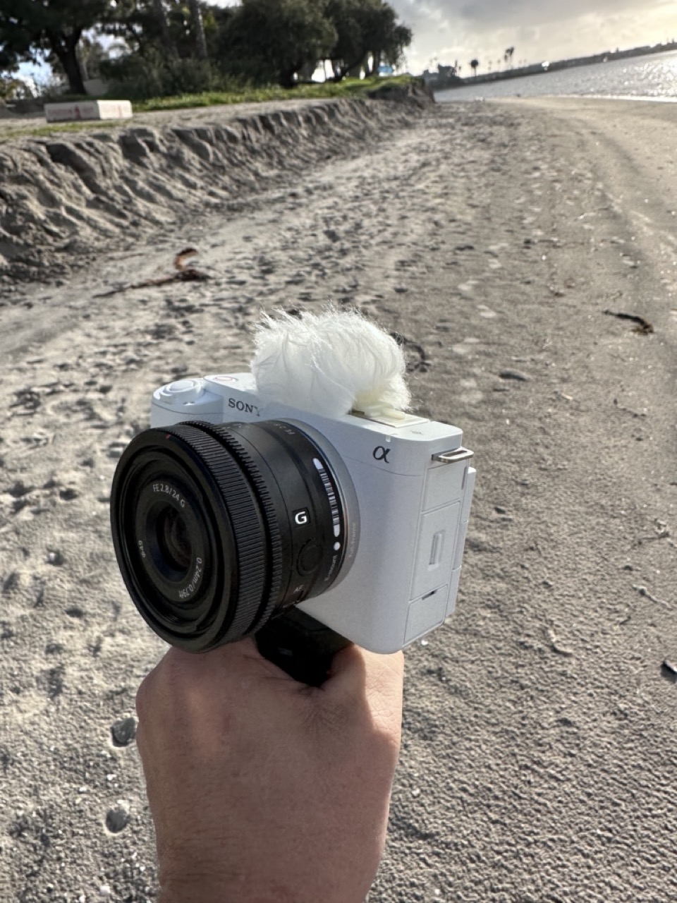 ZV-E1 All Auto Everything - Sony Mirrorless Pro